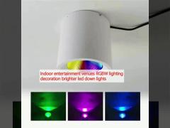 LED Indoor Downlight 20W Reflector Optical Solution for Decoration by Miracle Bean
