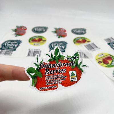 Cina Adesivi in ​​vinile fustellati personalizzati per la stampa di imballaggi di frutta autoadesivi in vendita