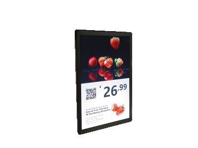 China High Quality Full Color LCD Price Tag 10.1