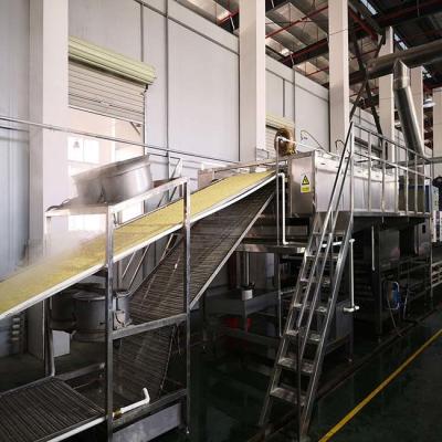Cina Taglierina della macchina della tagliatella di tazza di acciaio inossidabile per la tagliatella industriale che fa macchina in vendita