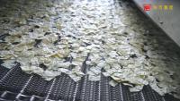 China Fully automatic ripen leaf noodle production line for sale
