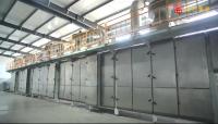 China Fully automatic ripen leaf noodle production line for sale