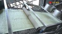 China Fully automatic ripen leaf noodle production line for sale