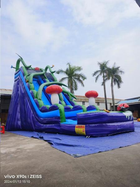 Quality Marble Wall Mushroom Kingdom Inflatable Water Slides With Pool for sale