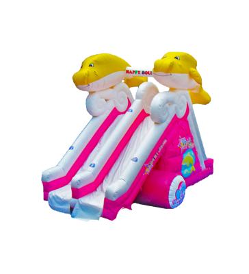 China Dolfijn Dubbelbaan opblaasbare glijbaan voor kinderen pretpark Te koop
