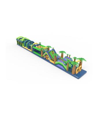 Китай Многоцветный тропический надувный трасса препятствий продается