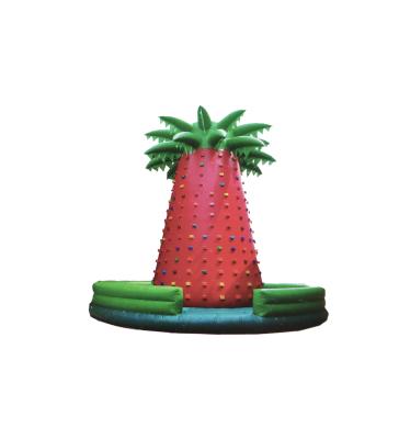 China Pineapple - Formed Inflatable Rock Climbing Wall: Colorful Holds & Fun for sale