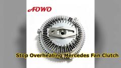 AOWO Mercedes Benz Fan Clutch A0002001122 Cooling Fix