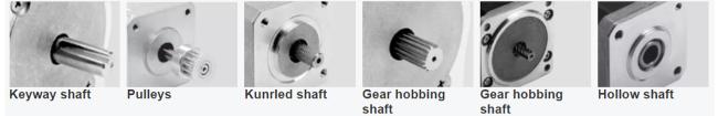 nema 17 step motor