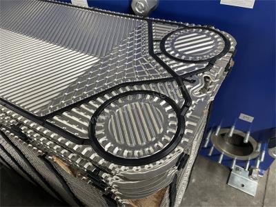 Cina 0.4 mm - 0,6 mm Sondex Placca per scambiatori di calore Nickel/Tianinum/acciaio inossidabile in vendita
