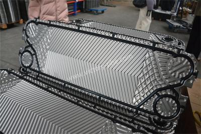 Cina Piastre di trasferimento di calore  Hastelloy Alloy Chevron Plate Pattern in vendita