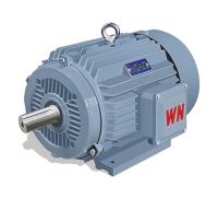 China Alternating Current 450V Three Phase Electric Motor for sale