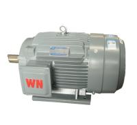 China Alternating Current 450V Three Phase Electric Motor for sale