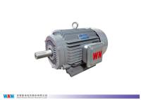 China High Efficiency 3 Phase Asynchronous Motor For Medical Instruments for sale