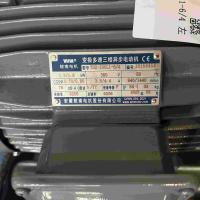 China Customized Explosion Proof High Efficiency Electric Motor 380V 50Hz for Crushers for sale