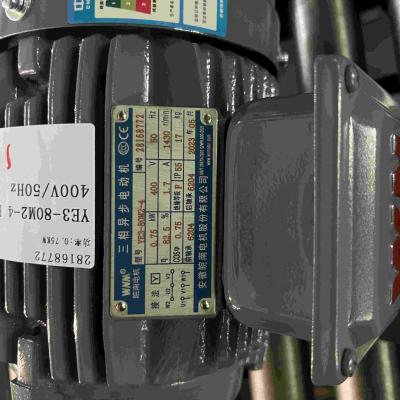 Cina Motori elettrici di alta efficienza di potere basso del ghisa per i trasportatori in vendita