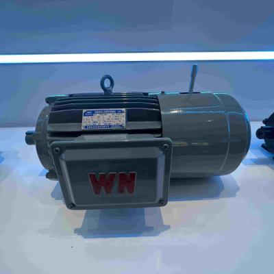 Cina Motori elettrici protetti contro le esplosioni di monofase per le facilità di stoccaggio in vendita