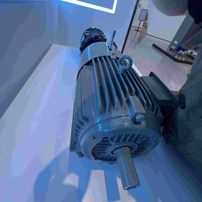 Cina Motore elettrico 230V di alta velocità di monofase per le macchine di ingegneria in vendita
