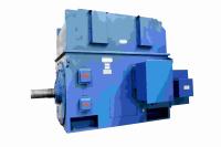 China Variable Speed High Voltage Induction Motors 3C 10kv for sale