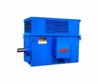 China Variable Speed High Voltage Induction Motors 3C 10kv for sale