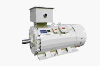 China Three Phase High Voltage High Efficiency Electric Motor ROHS for sale
