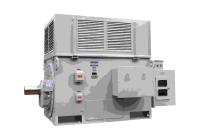 China Dust Proof High Voltage Induction Motors for sale