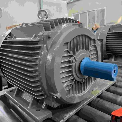 Cina Motore elettrico trifase di alta efficienza di 6KV IE3 per il macchinario di trasporto in vendita