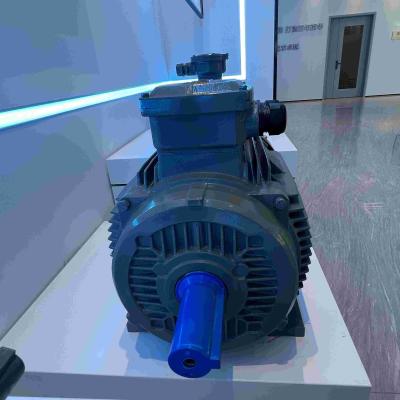 Cina IE3 40 cavalli vapore un motore elettrico di 3 fasi per il carrello elevatore elettrico Constant Frequency in vendita