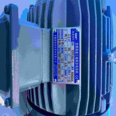 Cina Motori elettrici trifasi dell'acciaio del ferro di 15KW IE3 per i trasportatori in vendita