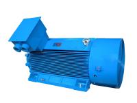 China IE3 Medium Voltage Induction Motor 185-8000kW 6kV 10kV Cast Iron Low Speed for sale