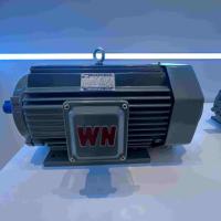 China Large Cast Iron Medium Voltage Induction Motor 6kV 10kV 185-8000kW IE3 for sale
