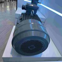 China IE3 Medium Voltage Induction Motor 185-8000kW 6kV 10kV Cast Iron Low Speed for sale