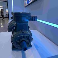 China Three Phase Medium Voltage Induction Motor High Voltage Explosion Proof for sale