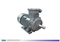 China Stainless Steel Explosion Proof Electrical Motor For Food Processing Plant for sale