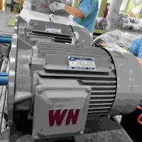 China IE5 Variable Speed Electric Motor for sale