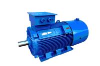 China Cast Iron Three Phase Induction variable Electric Motor CE for sale