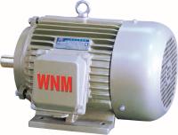 China Variable Speed Explosion Proof Electrical Motor For Boosters for sale