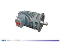 China 20KW Variable Speed Electric Motor for Packing Machinery IE3 380V for sale