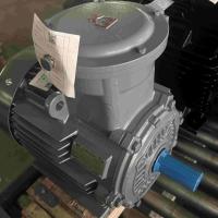 China Three Phase Adjustable Speed Low Voltage Electric Motors 0.18-220kW 380V for Packing Machine for sale