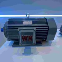 China Variable Speed Permanent Magnet Synchronous Motor 0.55-375kW IP55 IE4 for sale