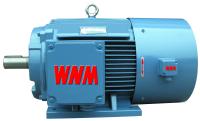 China Adjustable Speed Variable Speed High Efficiency Electric Motor for sale