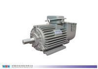 China Super High Efficiency Three Phase Marine Induction Motor IE3 IE4 0.45-100kW CCS for sale