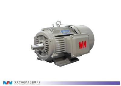Cina Motore asincrono elettrico di CA di induzione trifase premio di alta efficienza in vendita