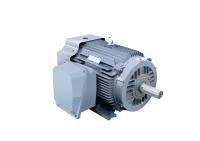 China Premium High Efficiency Three Phase Induction AC Electric Asynchronous Motor for sale