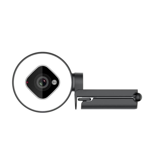 Quality 1080p 30fps USB Webcam With Ring Light Auto Focus Streaming Camera for sale