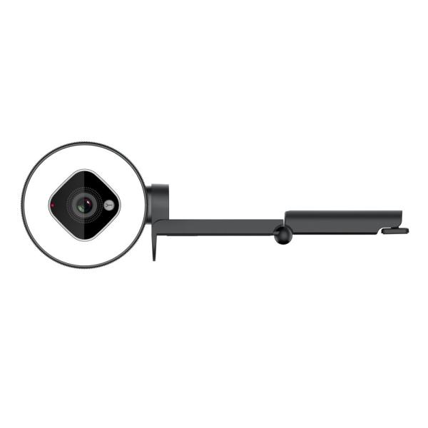 Quality 1080p USB Auto Focus Webcam Dual Stereo Mic Ring Light Webcam for sale