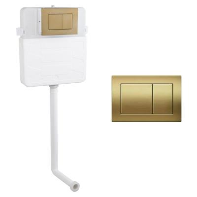 Cina Bagno colore oro Bagno intelligente con cisterna superiore e serbatoio d'acqua a colori personalizzabili in vendita
