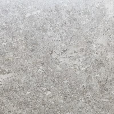 Cina Foshan Floor Polished Tile Ceramic con specifica 600*600 e assorbimento dell'acqua dello 0,5% in vendita
