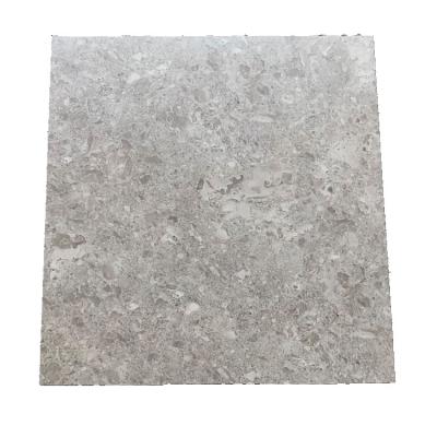 Cina Foshan Floor Polished Tile Ceramic con specifica 600*600 e assorbimento dell'acqua dello 0,5% in vendita