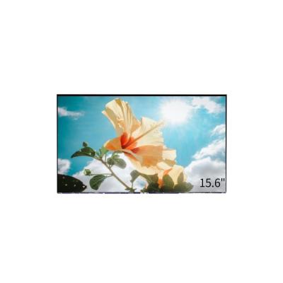 China 15.6 Inch HD TFT LCD Display IPS LCD Screen Panel 1920x1080 With EDP Interface for sale